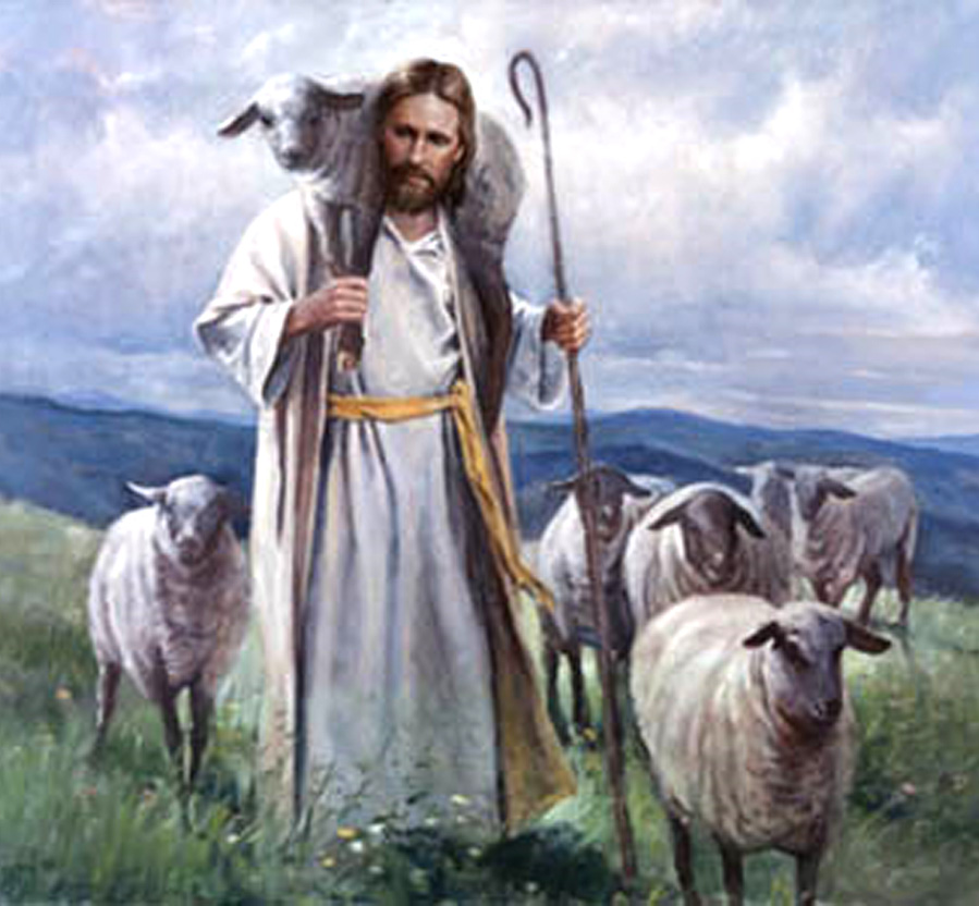 Jesus is our good shepherd – The Herald